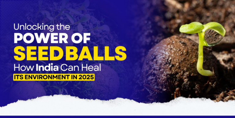 Powerful Reasons Why seed balls Initiatives Are Positively Transforming ...